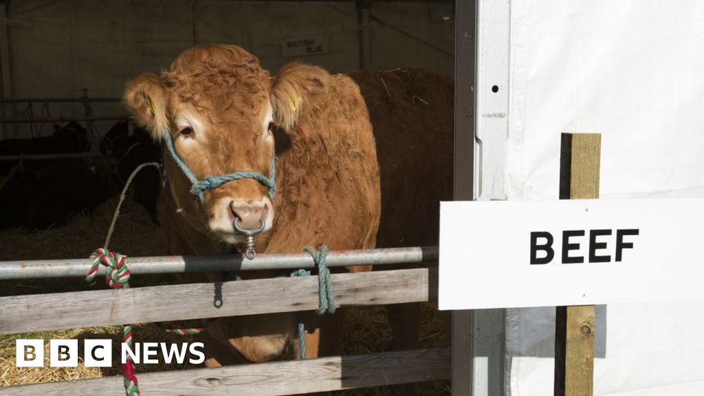 Japan to scrap UK beef ban imposed after BSE crisis