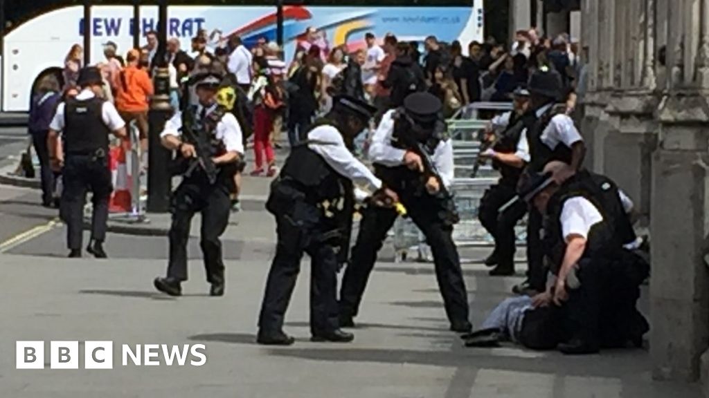 Man held by police outside Parliament