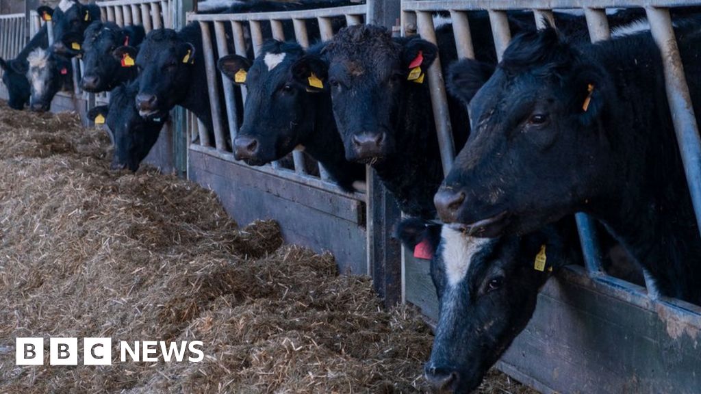 Climate change: Red meat sector opposes proposed legislation - BBC News