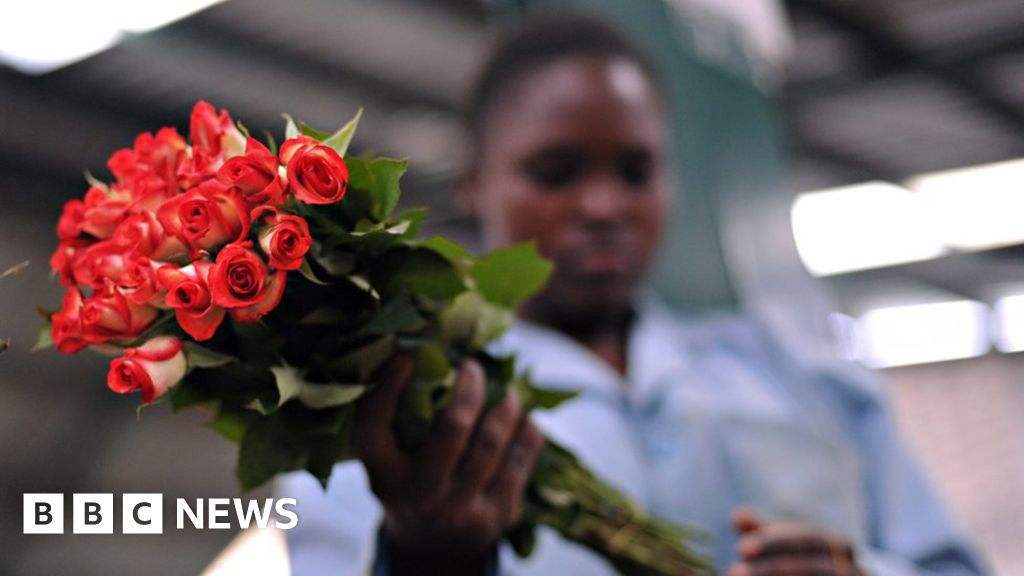 Tensions highlight the importance of global trade - BBC News