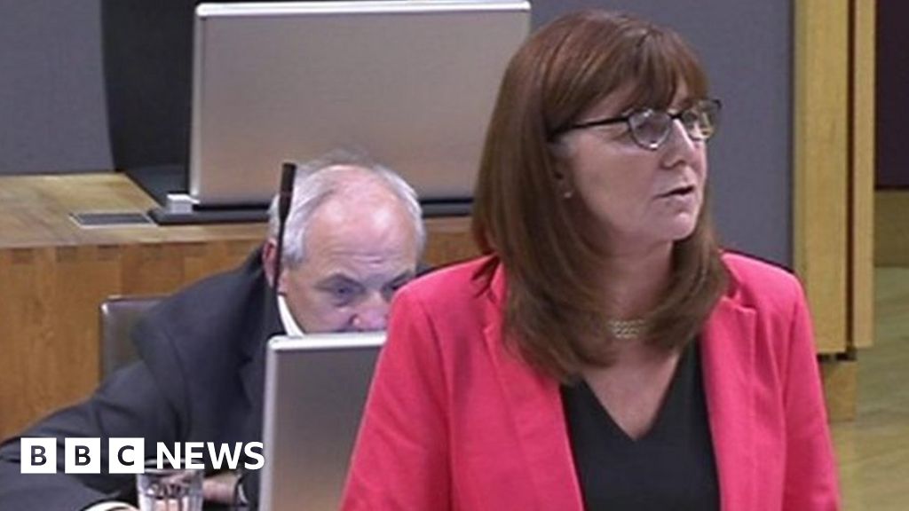 Scaremongering and lies on mud dumping, says minister - BBC News