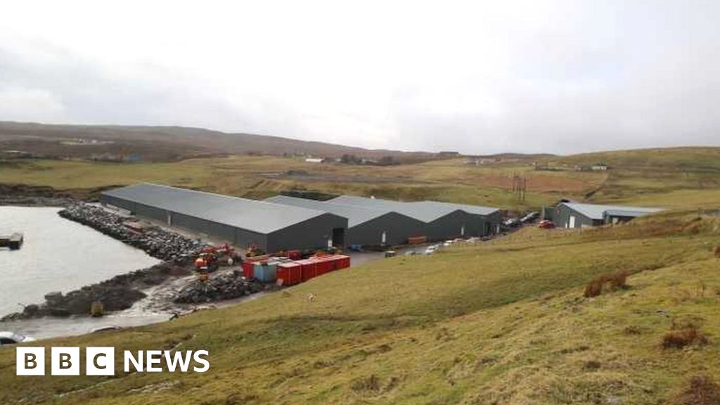 Covid in Scotland: Shetland fish farming operation to be sold - BBC News