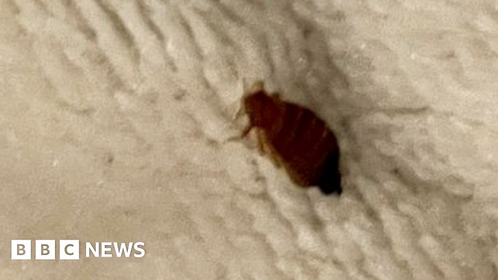 Mum finds bed 'infested' with bedbugs at Butlin's Skegness - BBC News