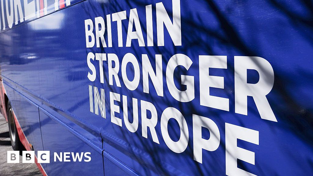 Brexit would hurt Britain, US foreign policy expert says - BBC News