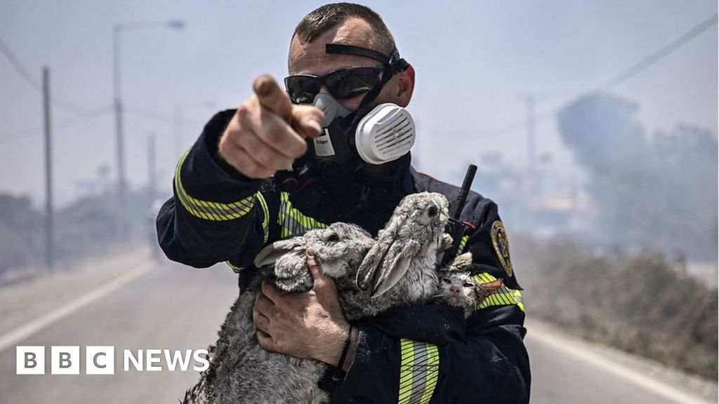 Rhodes evacuations: 'Their island is on fire' - BBC News