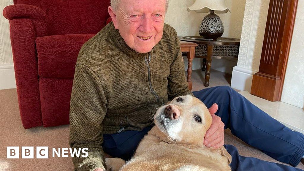 Guide dog shortage: Blind man from Exmouth says he will struggle - BBC News