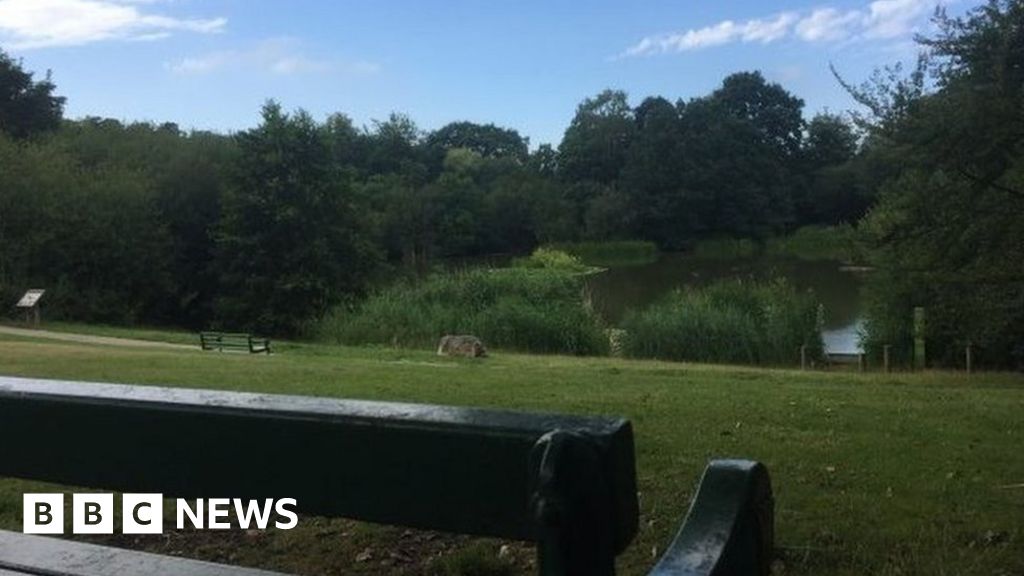 Wrexham: Olympic peace torch statue proposed at park - BBC News