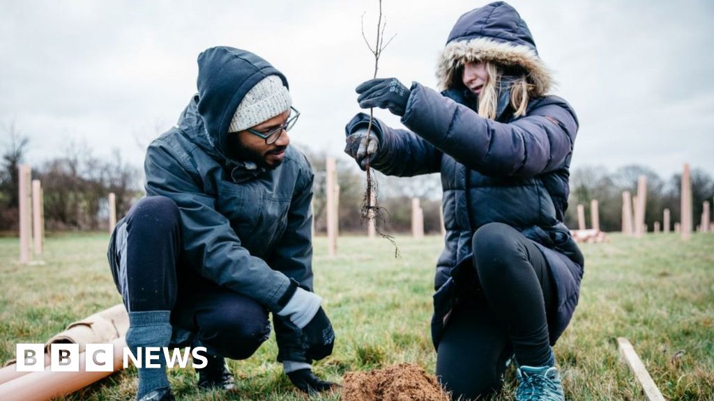 Charity hopes to plant 100,000 tree forest near Bristol - BBC News