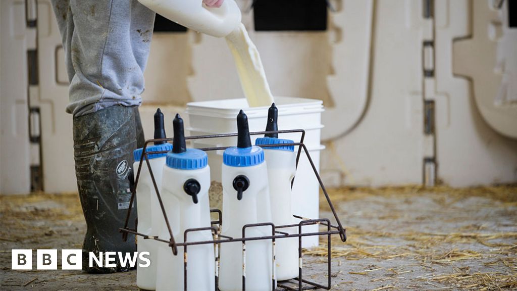 Coronavirus: Why Canada dairy farmers are dumping milk - BBC News