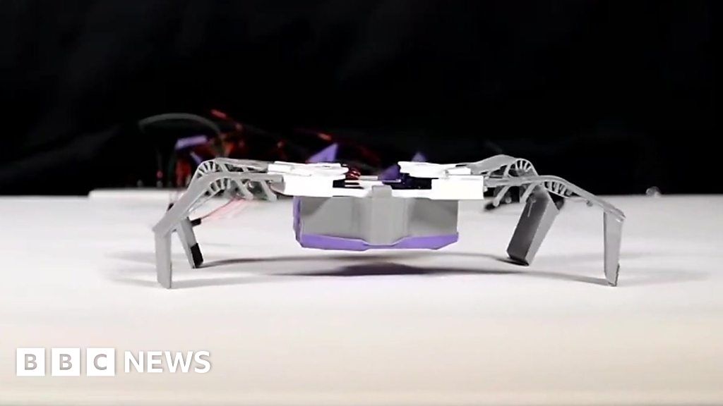 Robotic insects printed 'in minutes' and other tech news - BBC News