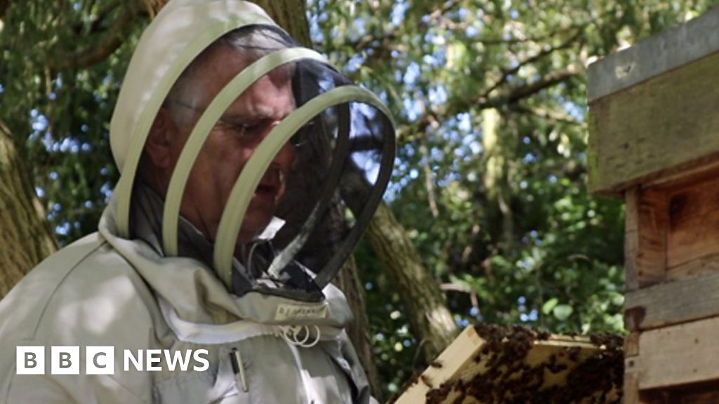 Essex beekeeper Ted Gradosielski honoured by Queen