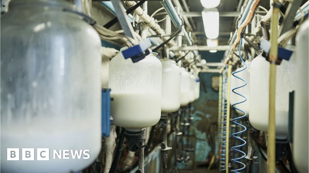 Lakeland and LacPatrick merger gets boardroom backing - BBC News
