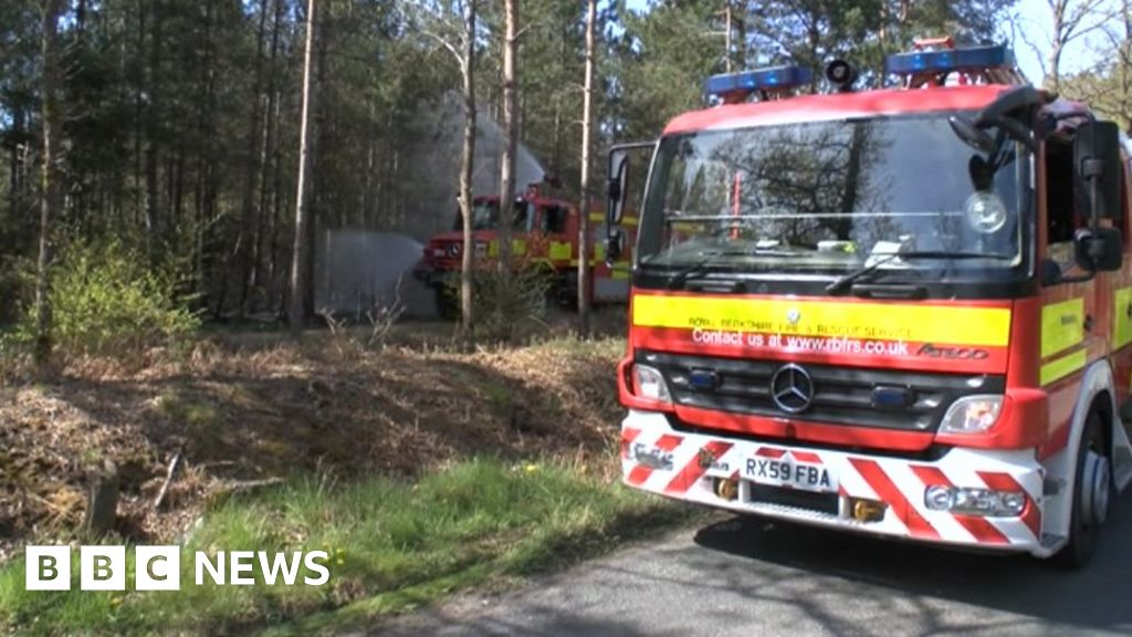 Suspected arson hits 10-acre forest - BBC News
