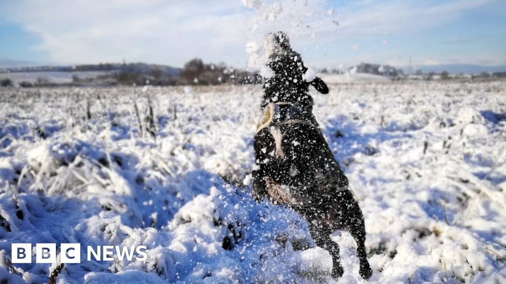 UK snow: Images of wintry scenes - BBC News