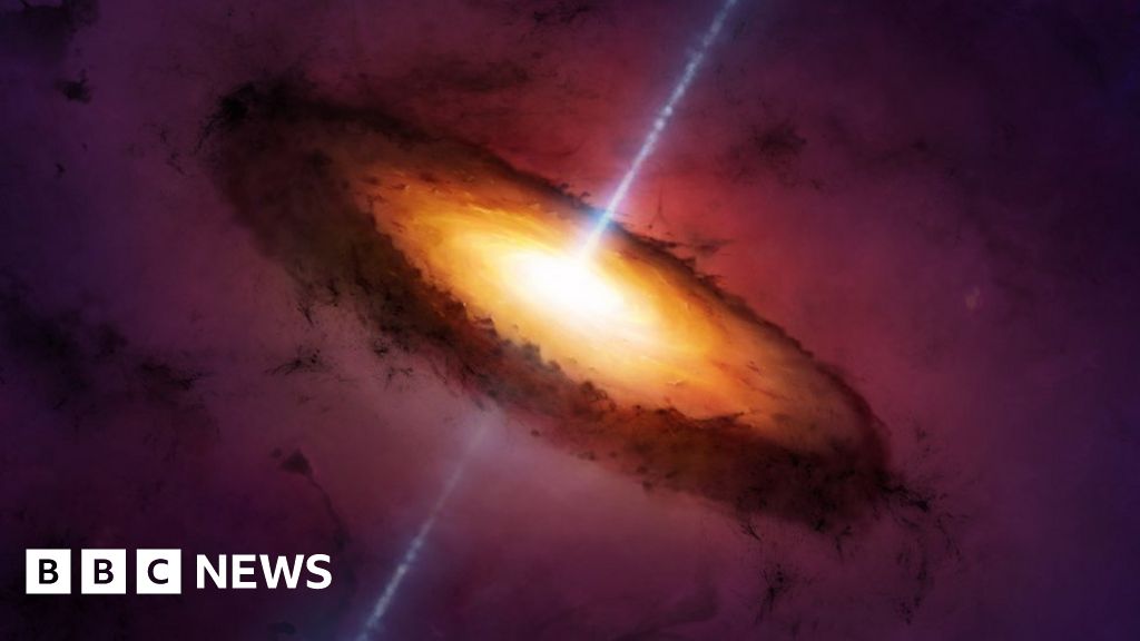 Ten big science stories of 2018 - BBC News