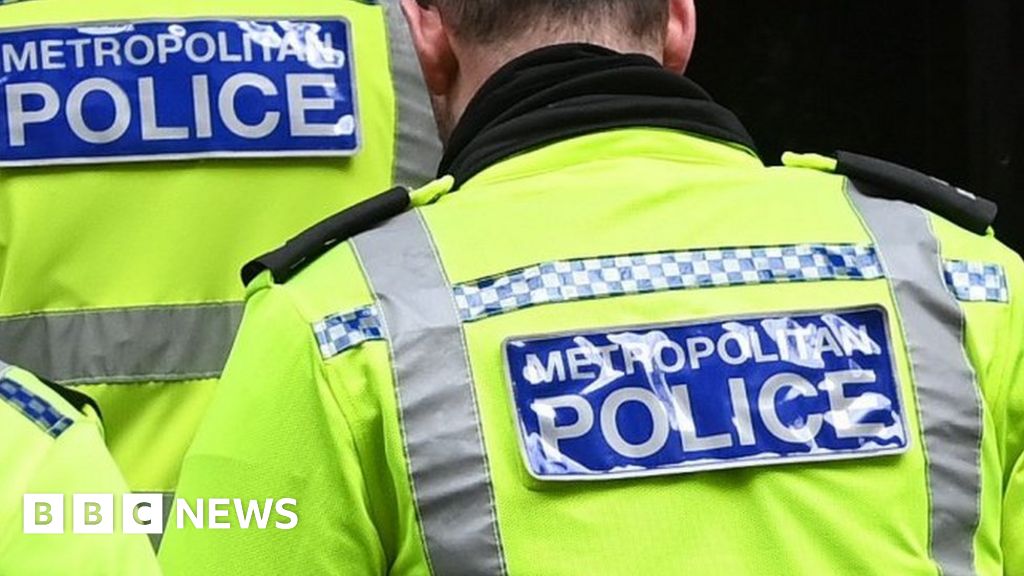 Met Police officers who put spit hood on woman, 90, could be charged ...