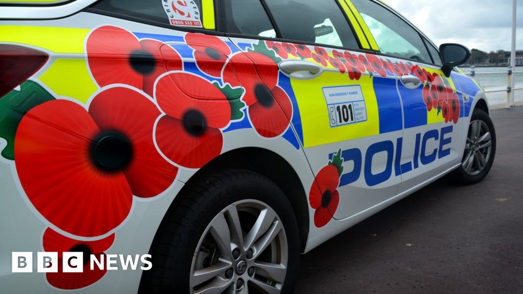 Dorset Police Remembrance poppy branded car cost criticised