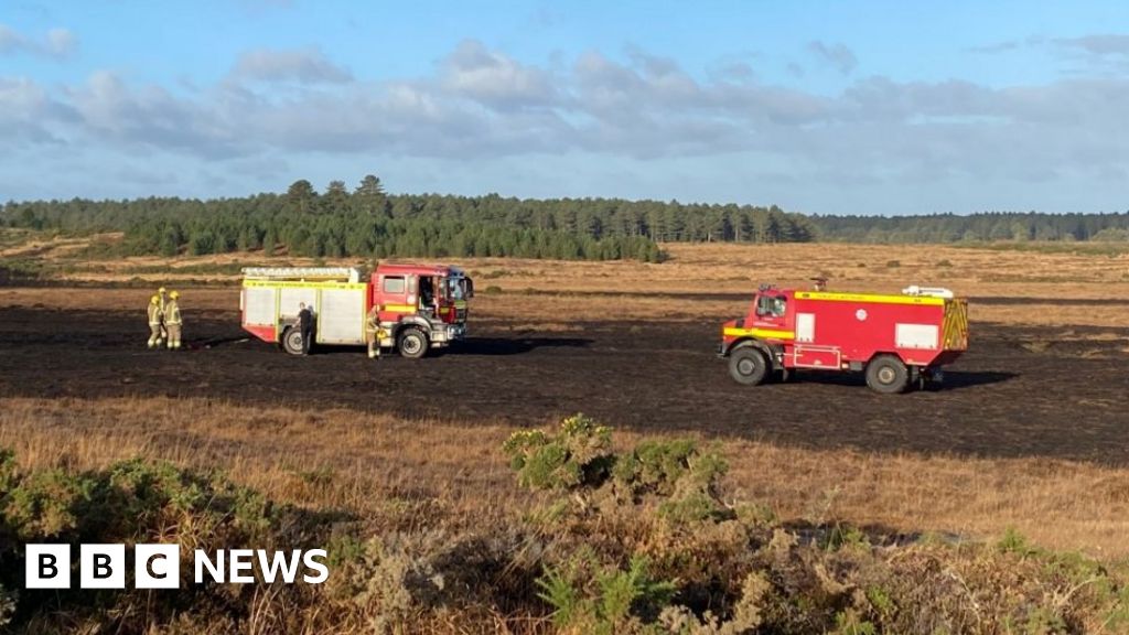 Large fire at Dorset coastal nature reserve extinguished - BBC News