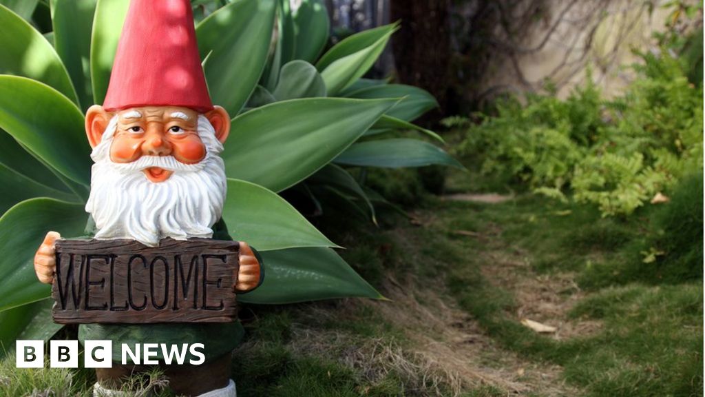 Recycling fines: Gnomes and dog poo among garden waste errors - BBC News