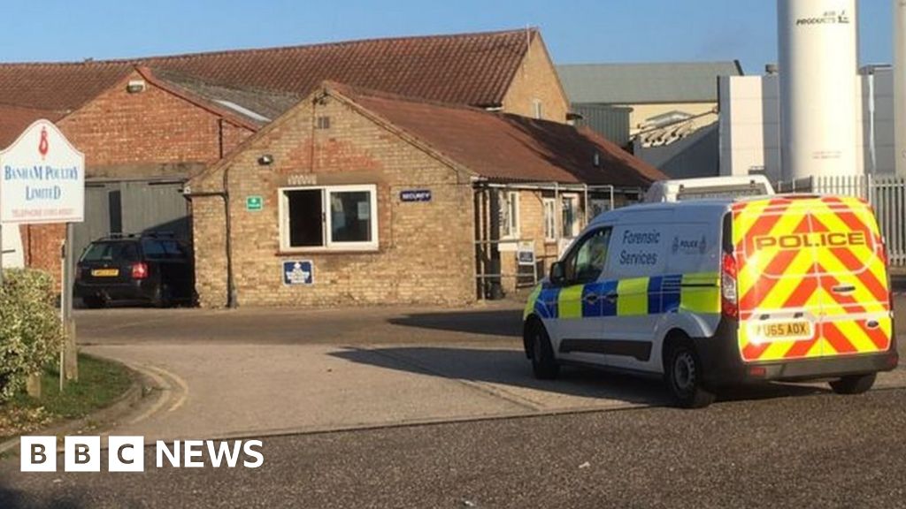 Worker suffers burns at Attleborough Banham Poultry - BBC News