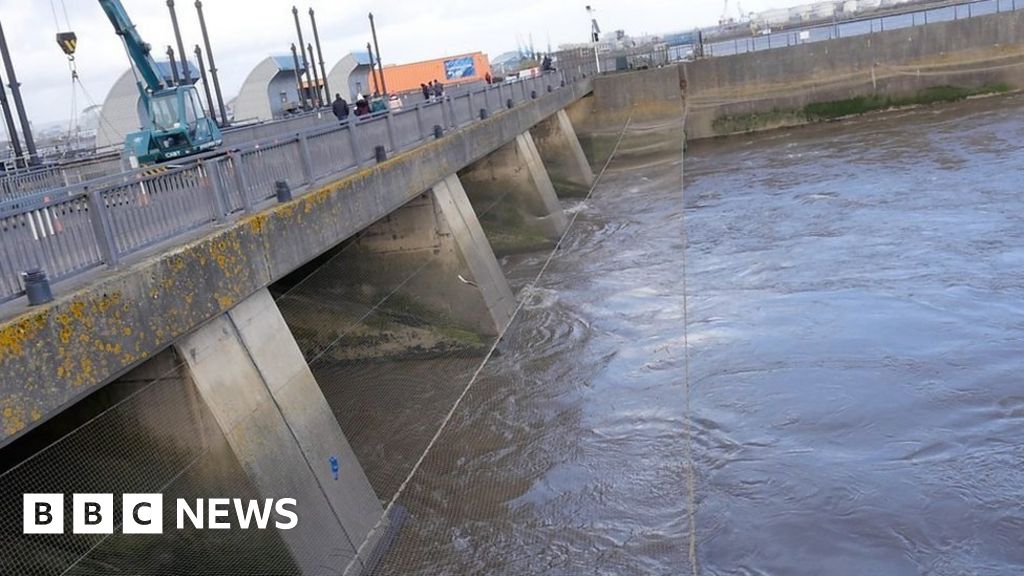 Storm Dennis: The barrage protecting Cardiff - BBC News
