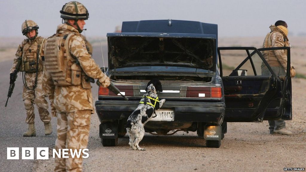 RIP Buster: The sniffer dog 'who saved a thousand lives' - BBC News