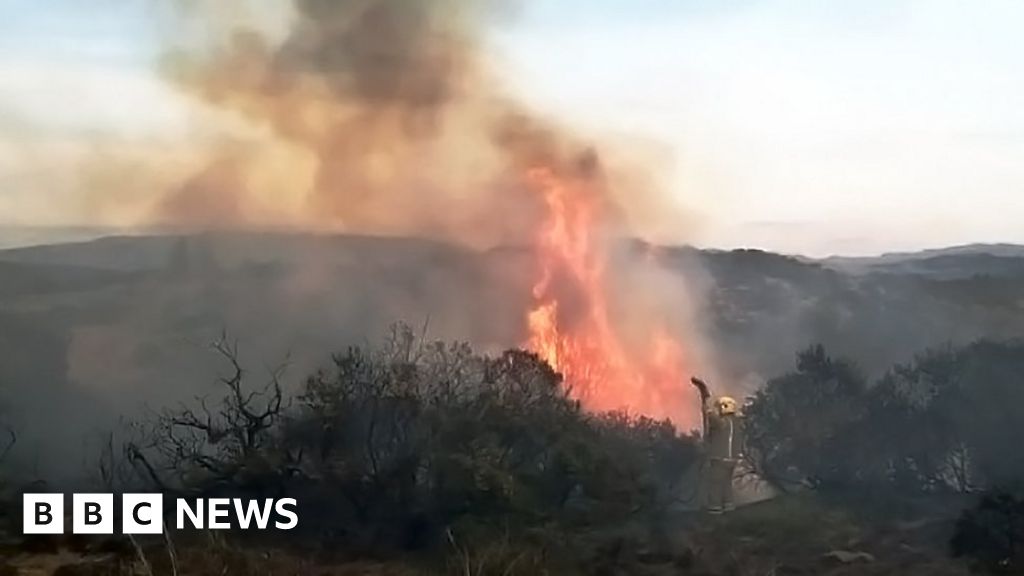 'Very high risk' wildfire warning follows heatwave - BBC News