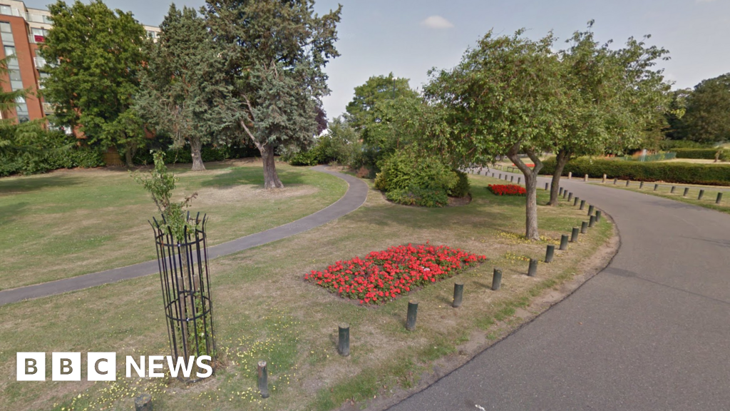 Council urges Slough park-users to report plant thieves - BBC News