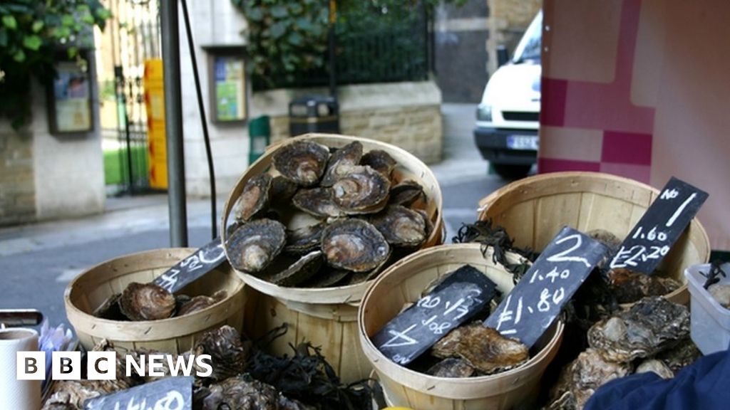 Oyster spawning predicted for 'first time in British seas' - BBC News