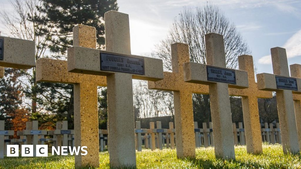 WW1 Battle of Verdun oak trees to be grown in Surrey - BBC News