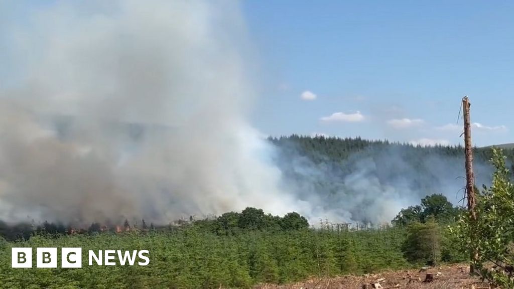 Crews battle Galloway forest blaze as wildfire risk 'extreme' - BBC News
