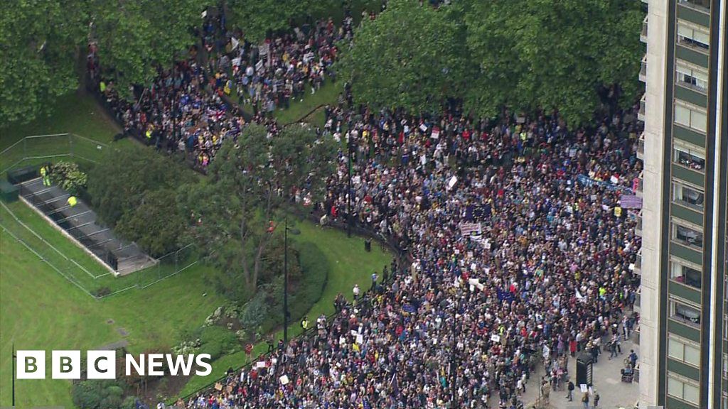 Thousands gather in central London for Brexit protest - BBC News