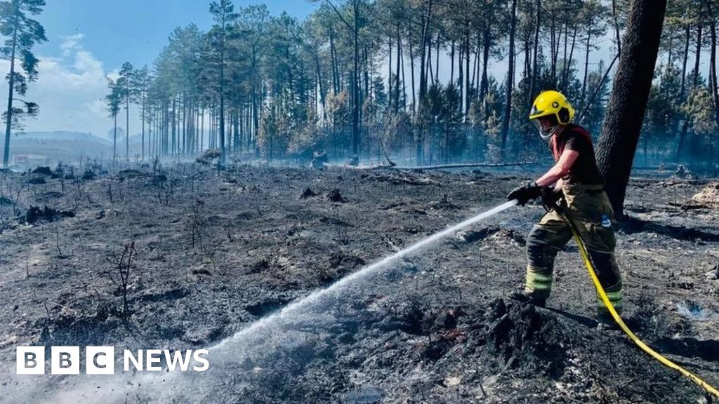 Wareham Forest: Fire extinguished after nearly two weeks - BBC News