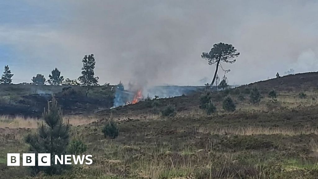 Canford Heath: Fire crews put out third heath fire in month - BBC News