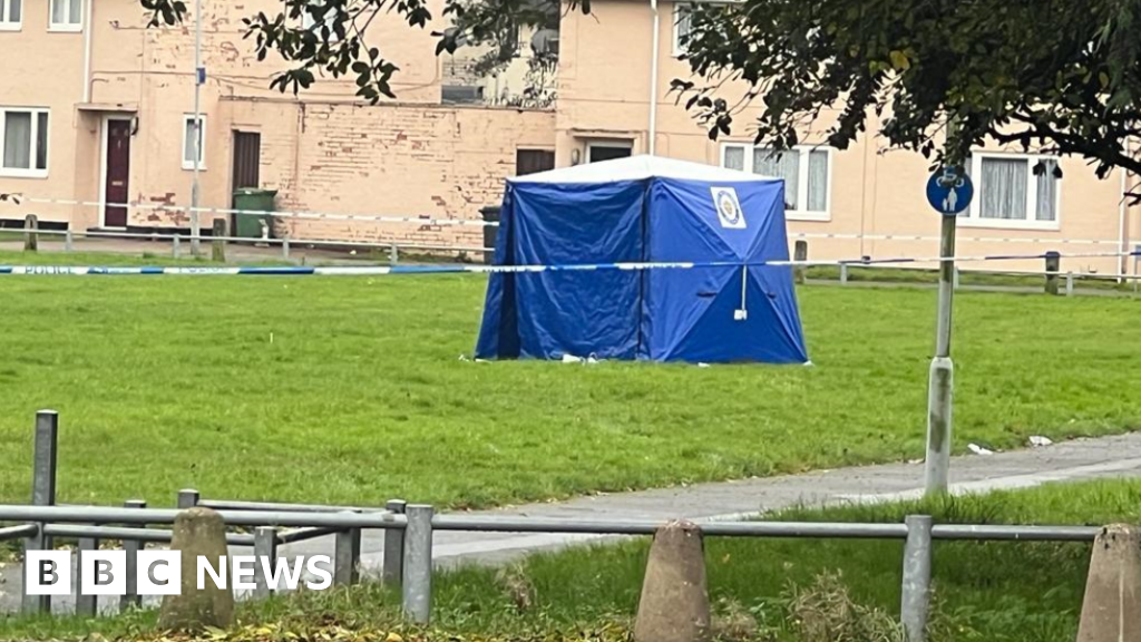 Murder inquiry as 19-year-old man stabbed in Wolverhampton