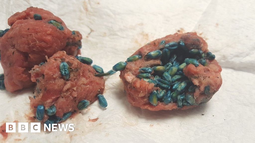 Dogs targeted with rat poison-laced meatballs in Grangemouth