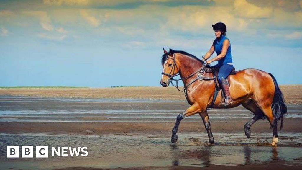 Horse injured in hit and run in Buckinghamshire