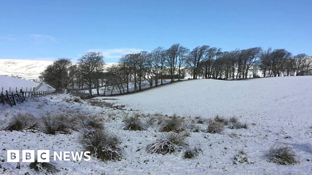 Where has the Spring gone? - BBC News