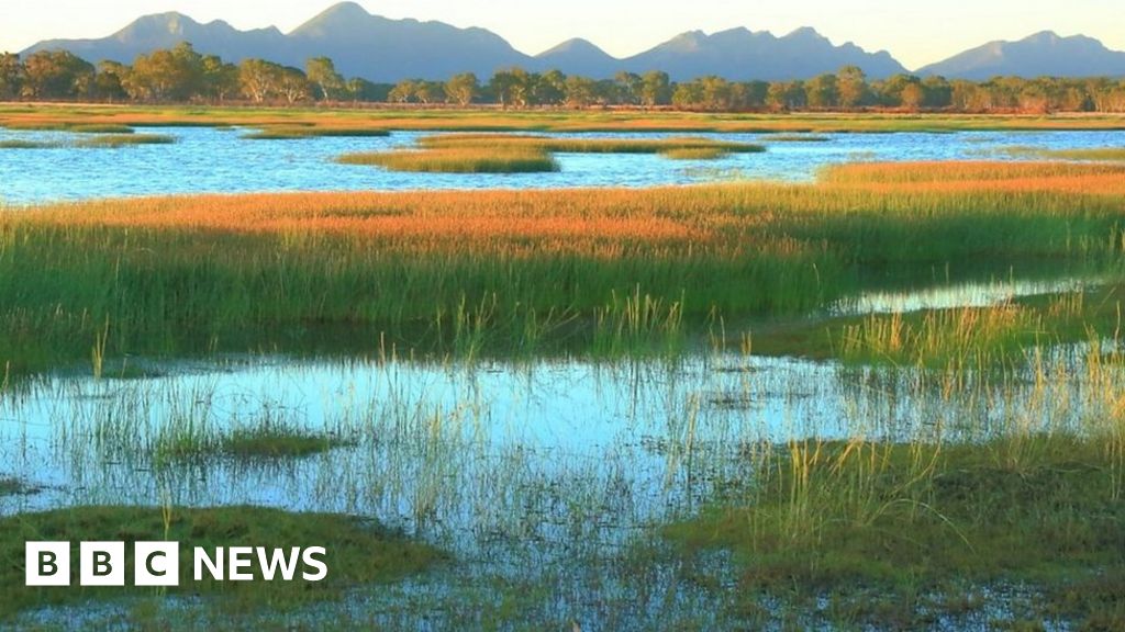 Walker Swamp: The mission to restore an Australian wetland
