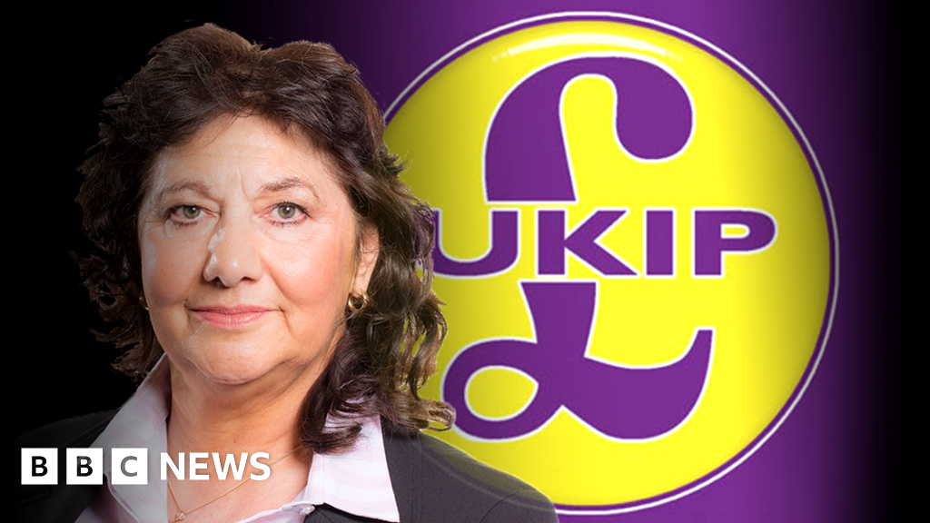 UKIP Welsh Assembly leader Caroline Jones did not declare husband's job ...