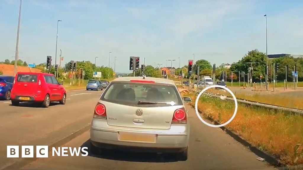 Councils to fine anyone caught throwing litter from vehicles - BBC News