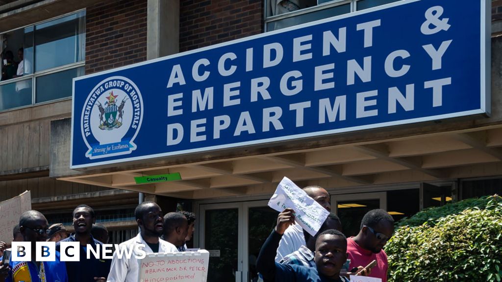 Zimbabwe health crisis: 'My cousin died as the doctors are all on strike'
