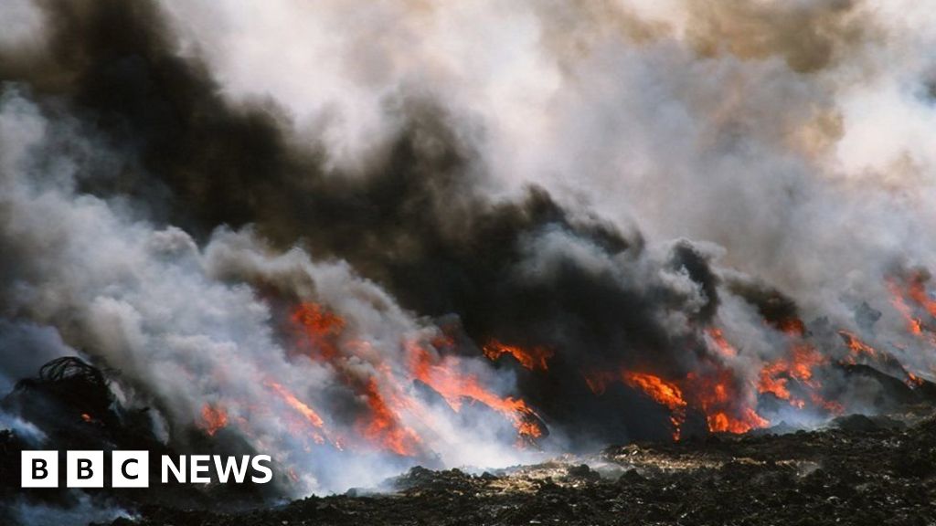 Foot-and-mouth disease: Reporter Gilbert John reflects on the 2001 ...