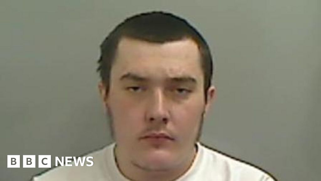 Ingleby Barwick hit-and-run van killer appeals conviction