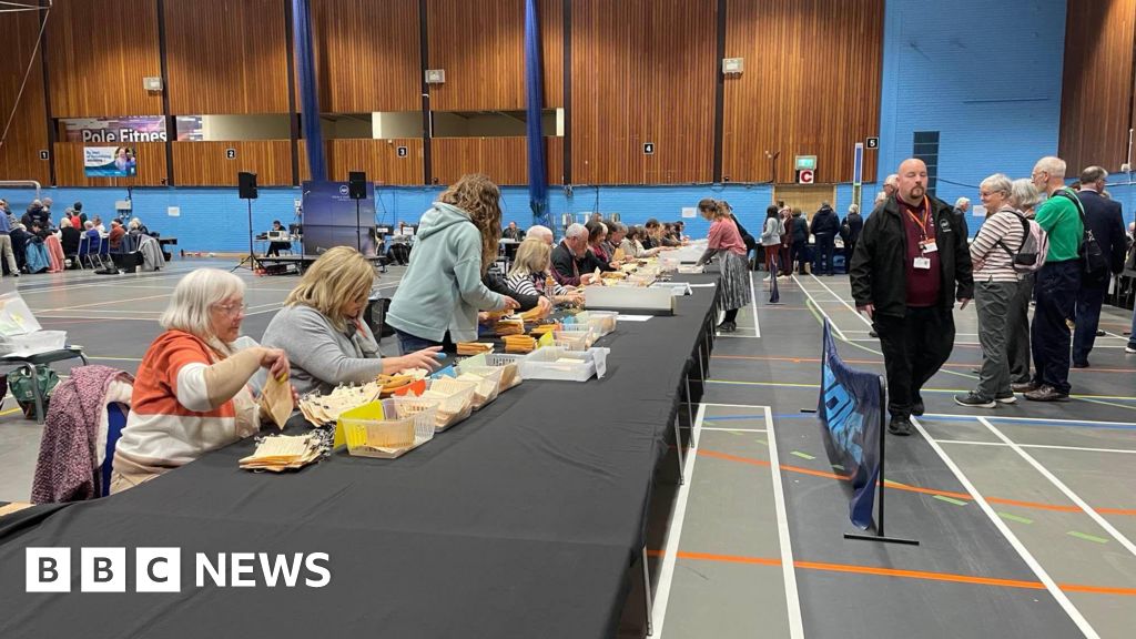 Sussex election results: Adur council win among Labour gains - BBC News
