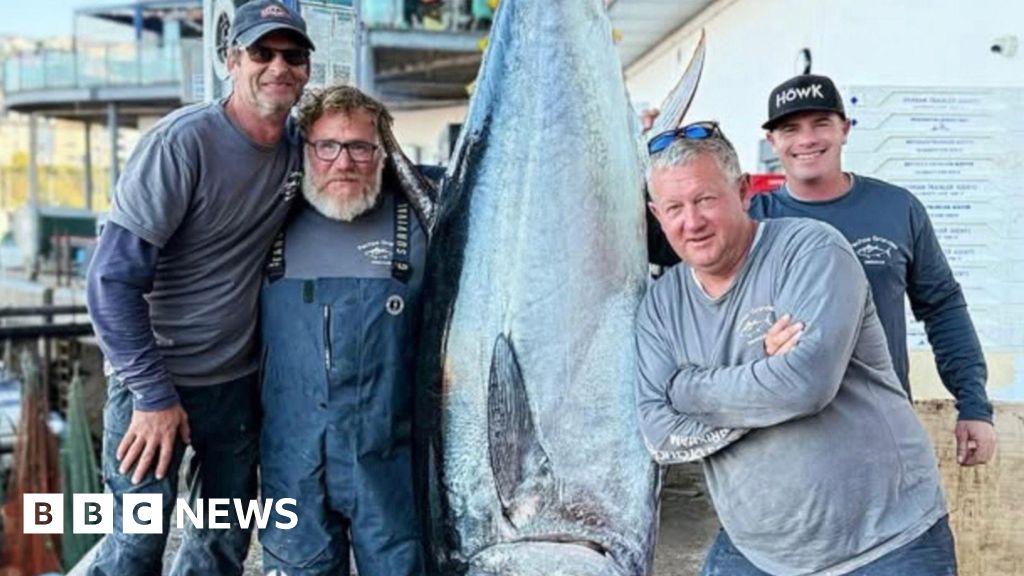 Fisherman catch 210kg bluefin tuna off Devon coast
