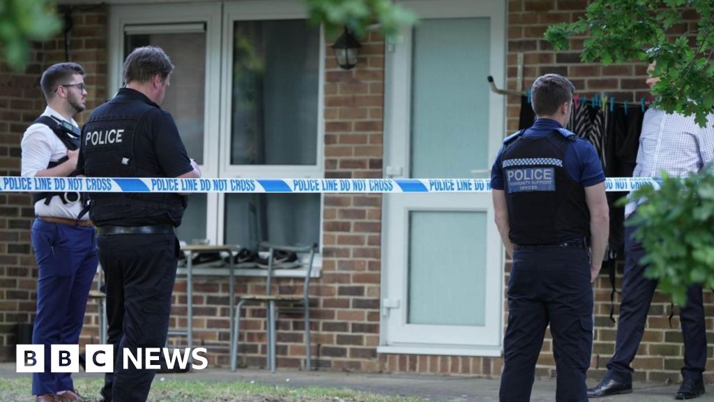 Crawley: Man and woman arrested after stabbing