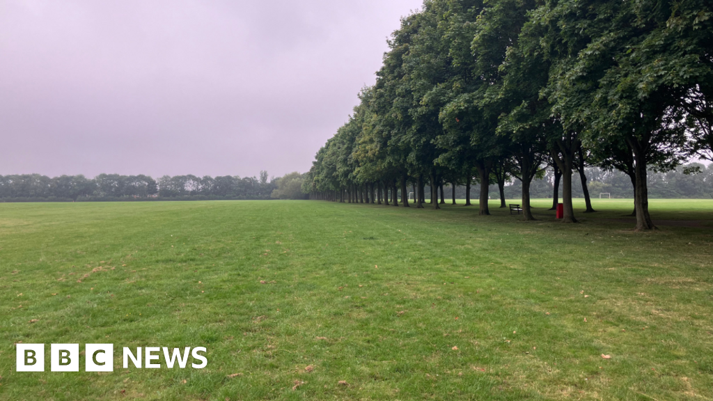 Council to revisit decision over Werrington Fields, Peterborough
