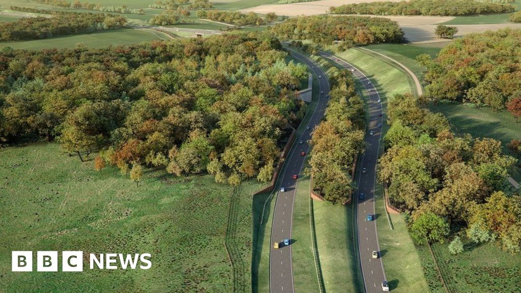 Norwich Western Link road plans face fresh environmental concerns - BBC ...