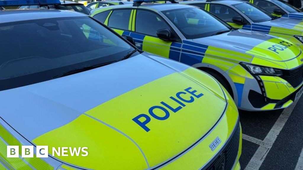 Wolverhampton police arrest teen after reports of man with machete